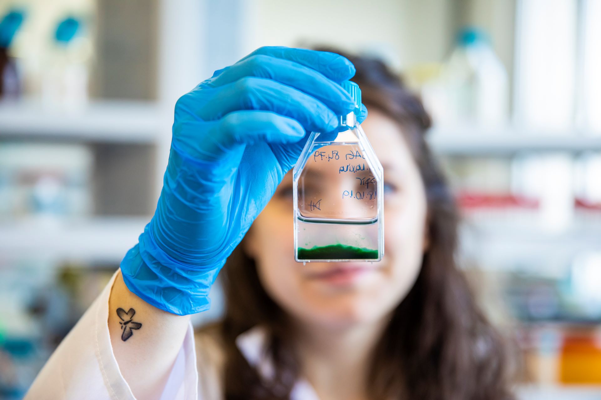 What can you make with algae? | British Council