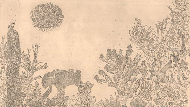 Gemma Anderson: 'Take drawing seriously as mode of enquiry' | British ...