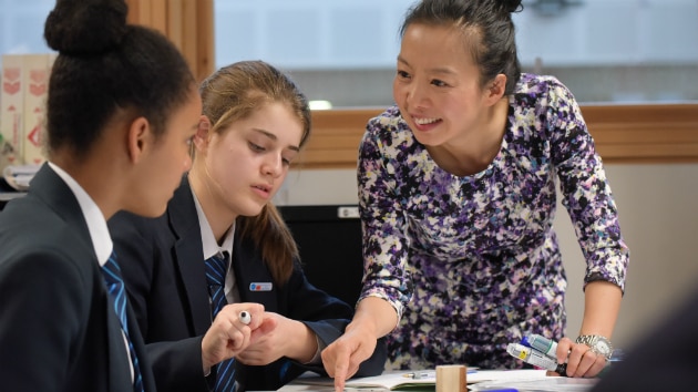 Mandarin Excellence Programme | British Council