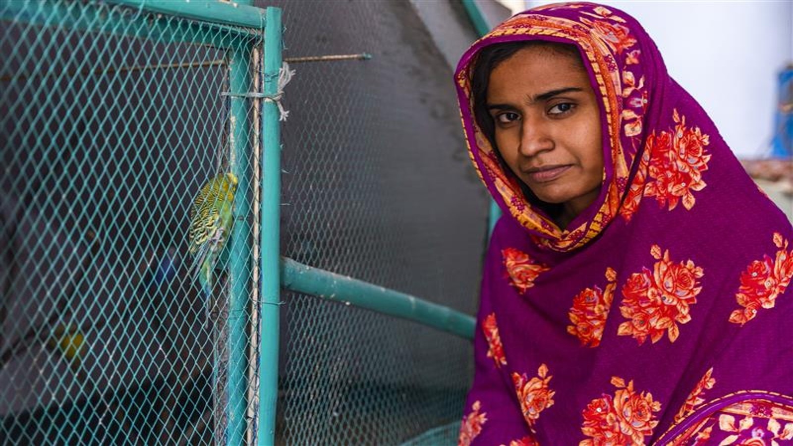 Next Generation Bangladesh 2024 | British Council