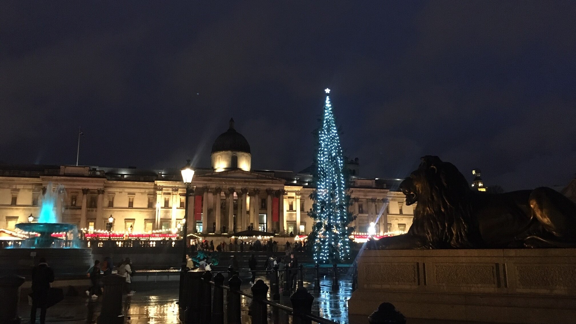 ‘Tusen Takk’ for the Christmas Tree! | British Council