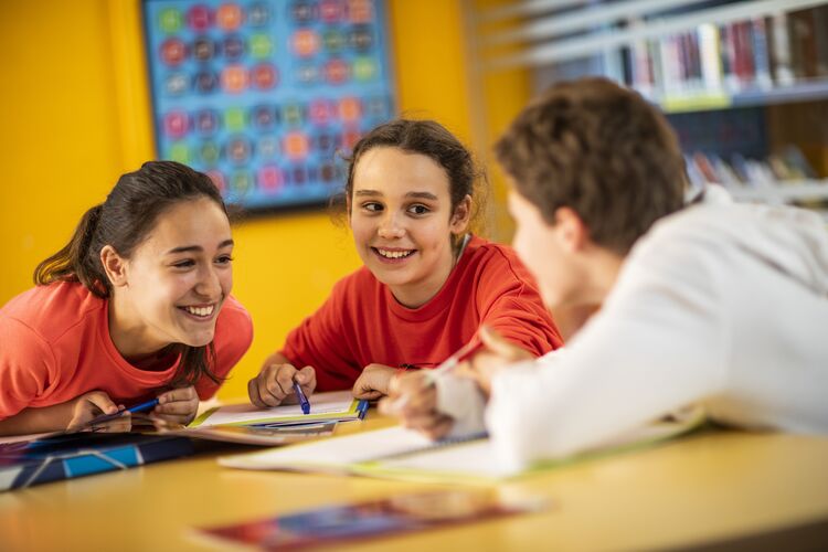 The English Language Assistant lifecycle | British Council