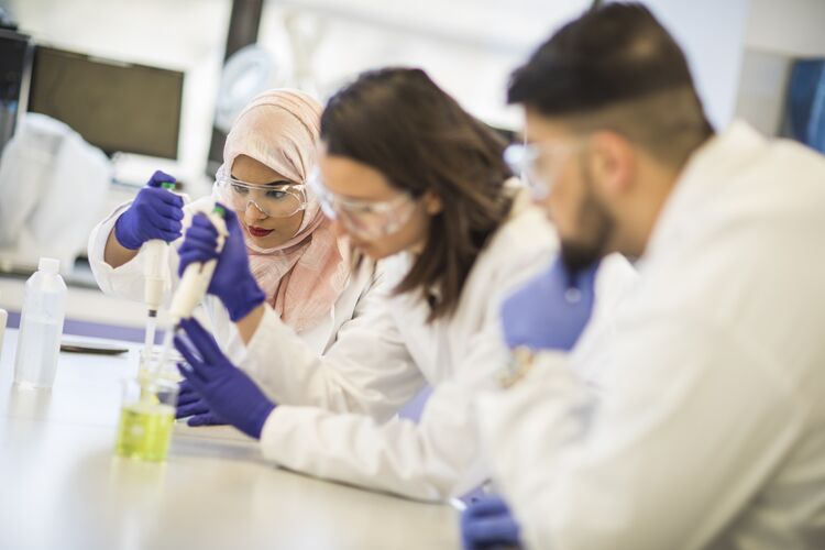 International Science Partnerships Fund | British Council