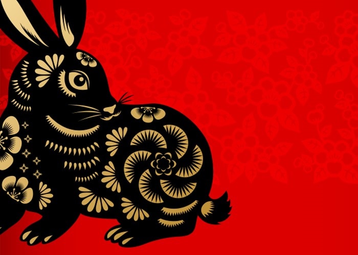 Year Of The Rabbit 6s